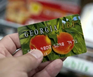 10. Georgia-EBT-Card-Help – BNB Magzine